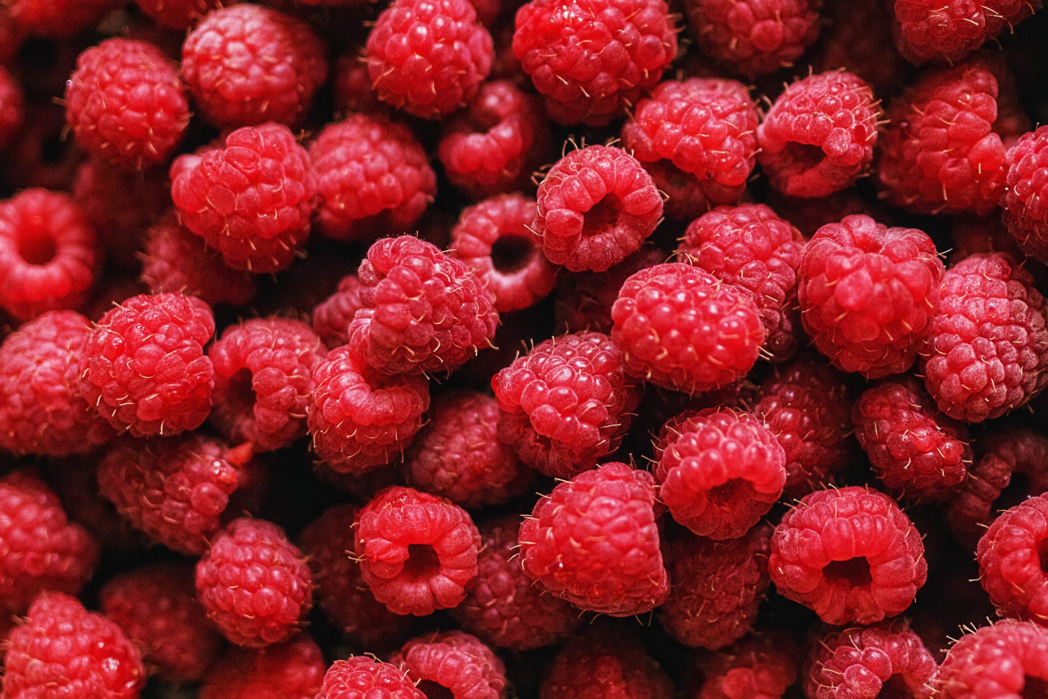 HIMBEEREN – Hof Mertin
